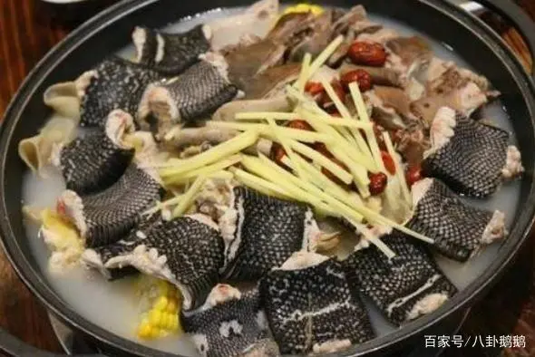 Guangdong's famous dish "Dragon Tiger Fighting", there are hidden ...